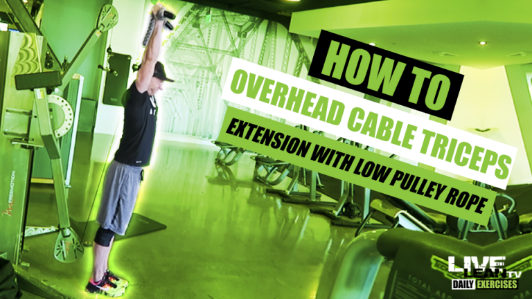 Triceps - Live Lean TV